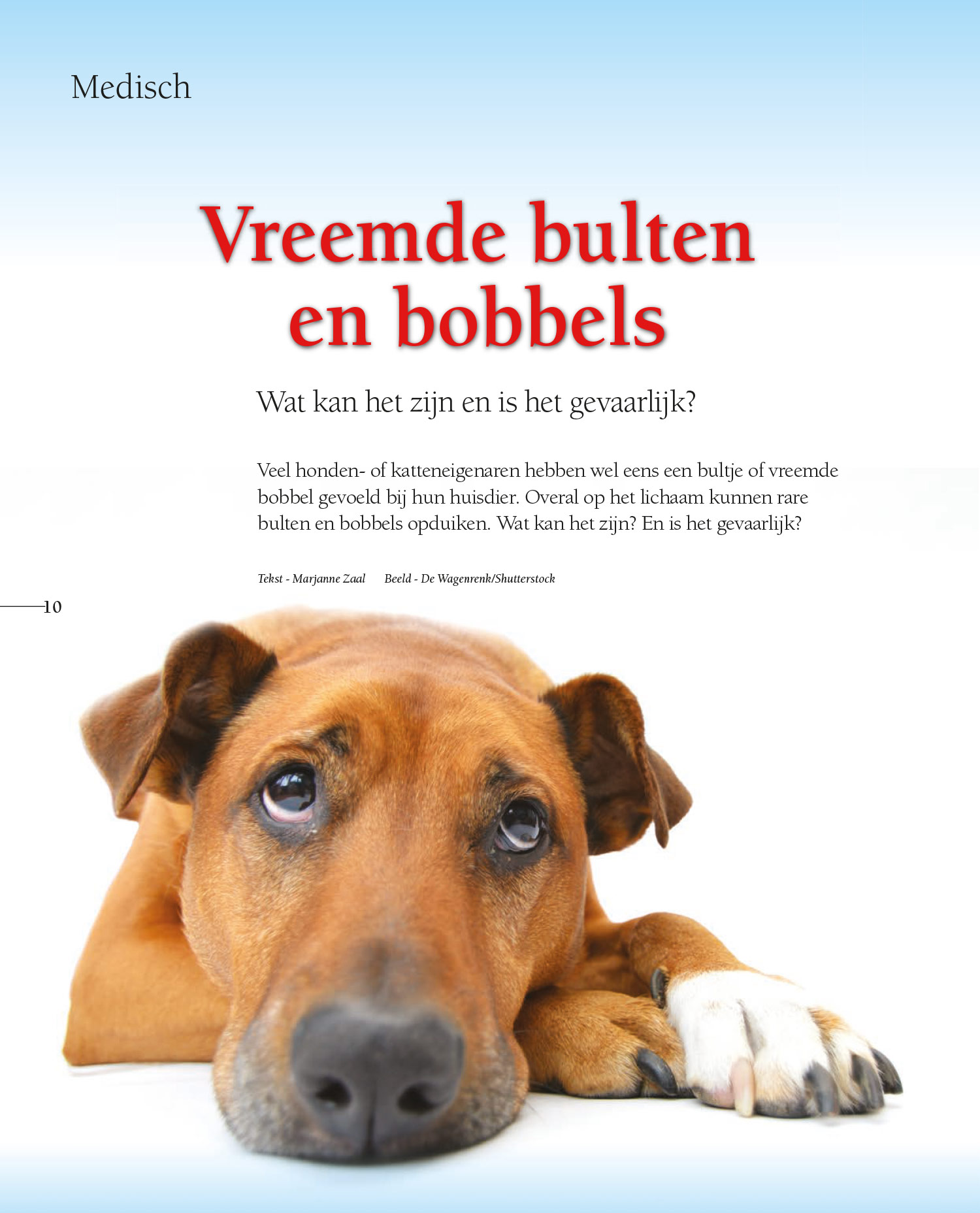 Vreemde bulten en bobbels - Wagenrenk